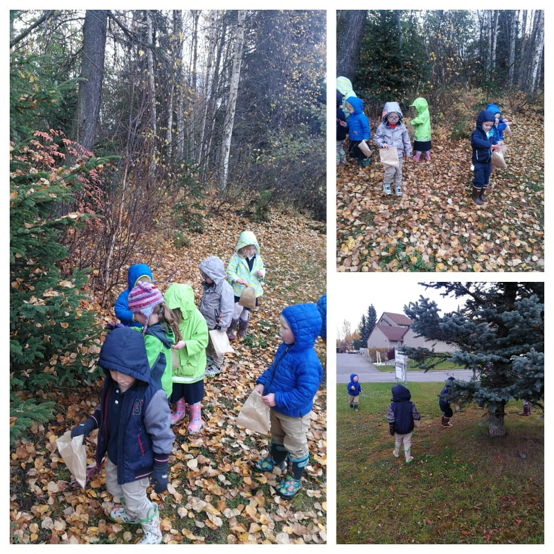 Exploring Trees - Pacific Northern Academy