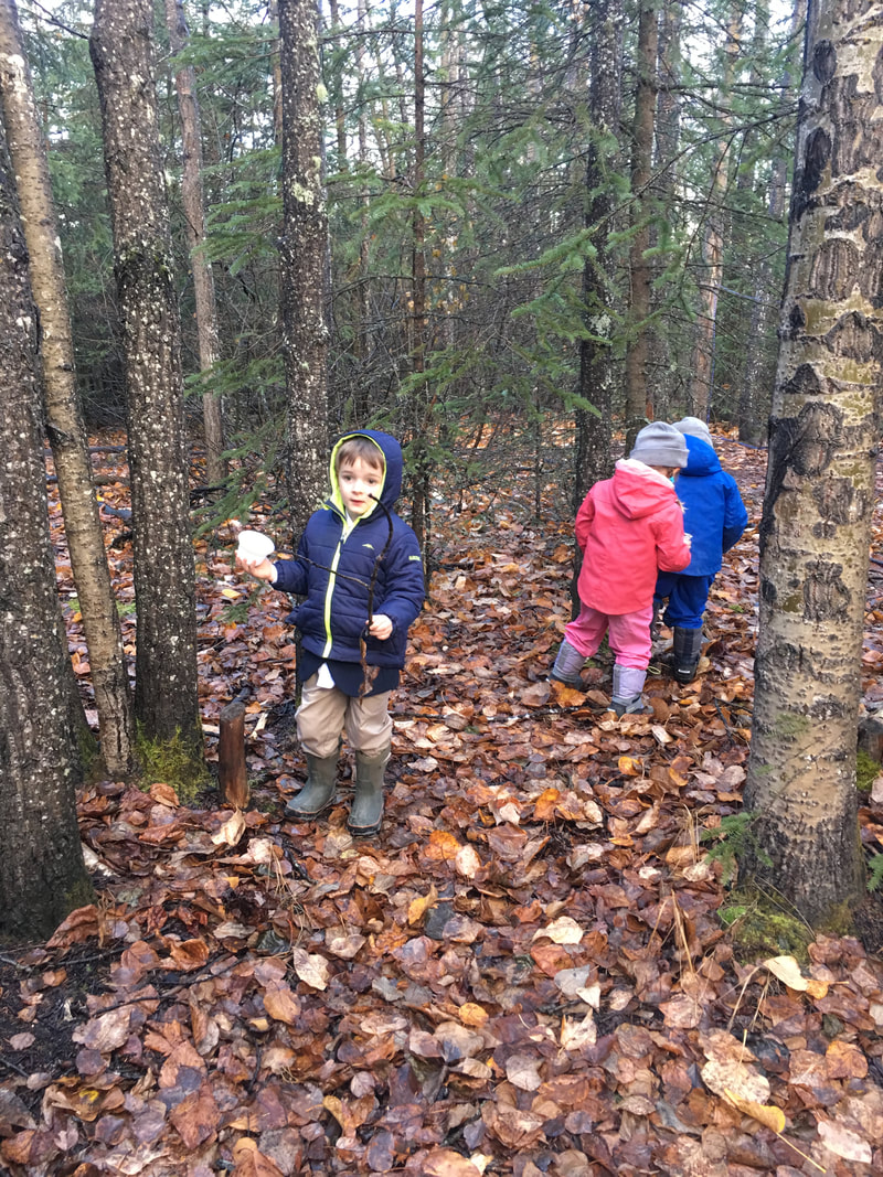 Teaching "Trees" through Trips - Pacific Northern Academy