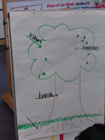 Laying Down Roots - Pacific Northern Academy